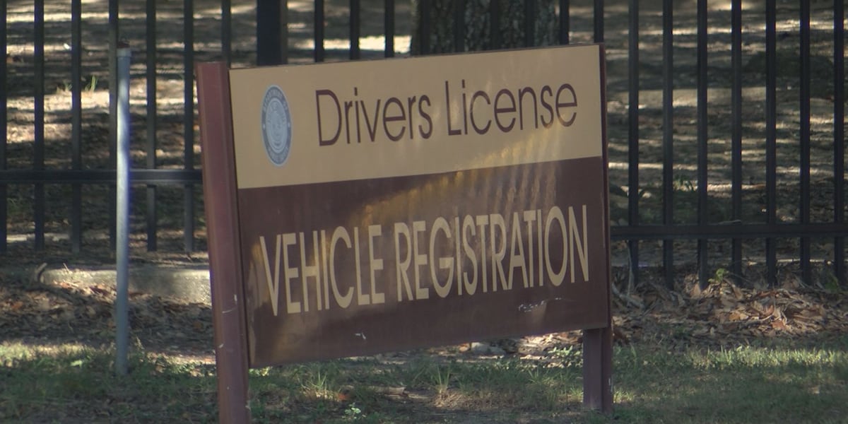 La. OMV offering free identity theft protection until Oct. 31 due to ... La. OMV offering free identity theft protection until Oct. 31 due to ...
