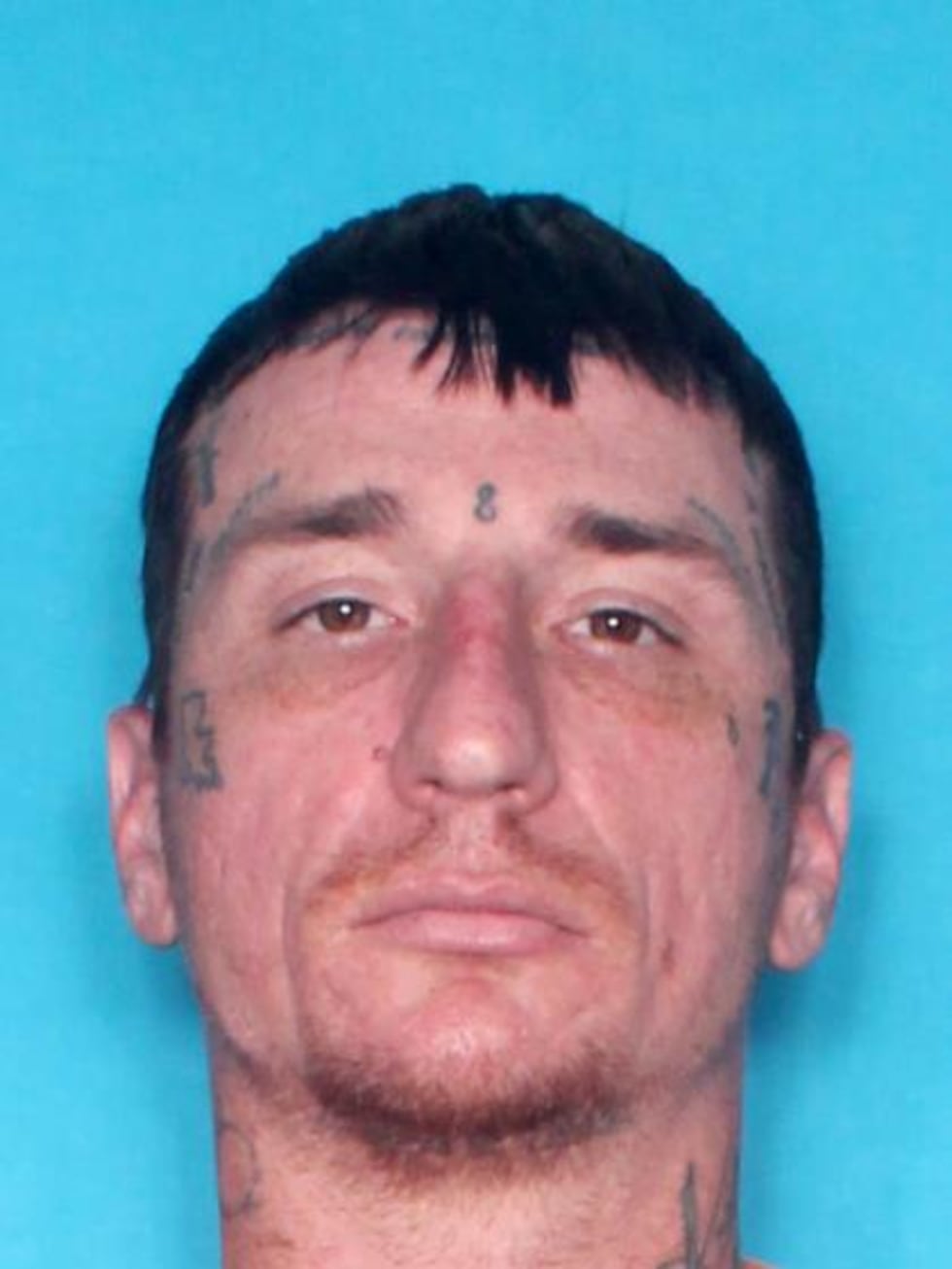 Work release inmate who walked off job site back in custody, officials said Work release inmate who walked off job site back in custody, officials said